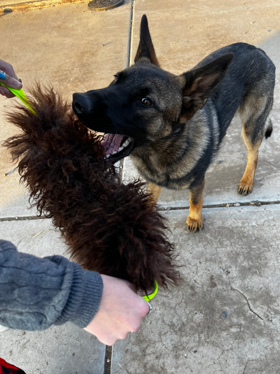 Soft Bite Dog Toy – Alaska Leather